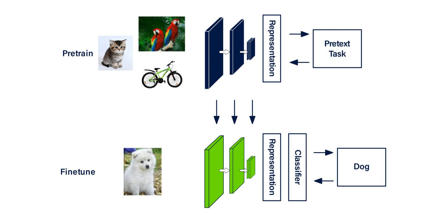 Top 7 Best Image Recognition Apps In 2024 [Business Guide] – Blog